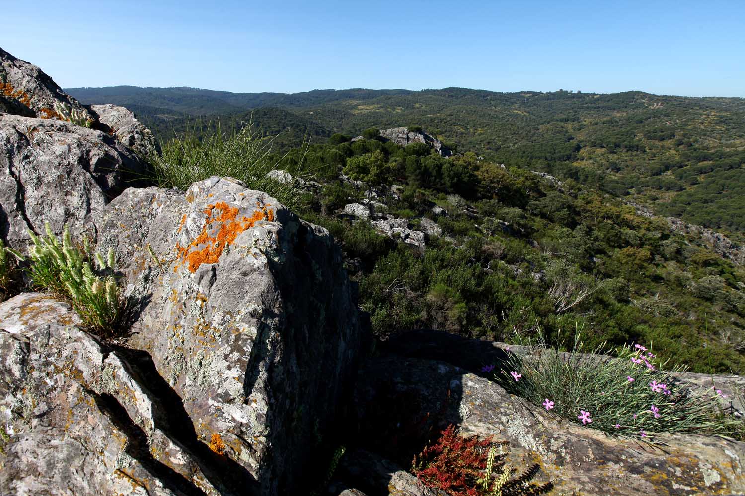 Home - Herdade da Contenda, EM
